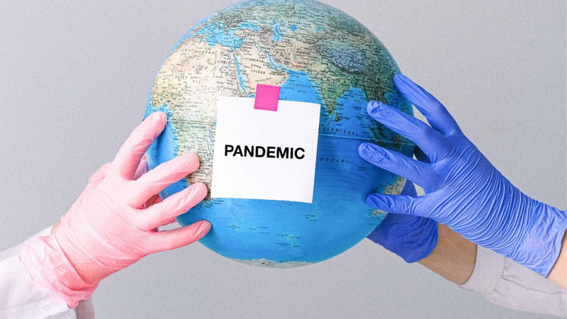 What the Pandemic Has Taught Us About the Environment – dolphinblue.com
