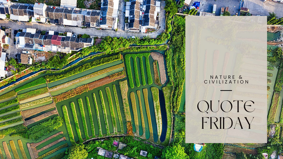 Quote Friday: Nature and Civilization – dolphinblue.com